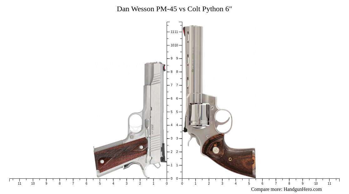 Dan Wesson PM-45 vs Colt Python 6" size comparison | Handgun Hero
