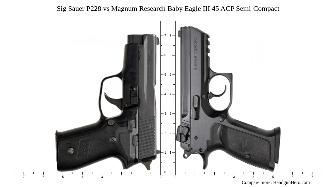 Sig Sauer P228 vs Magnum Research Baby Eagle III 45 ACP Semi-Compact ...