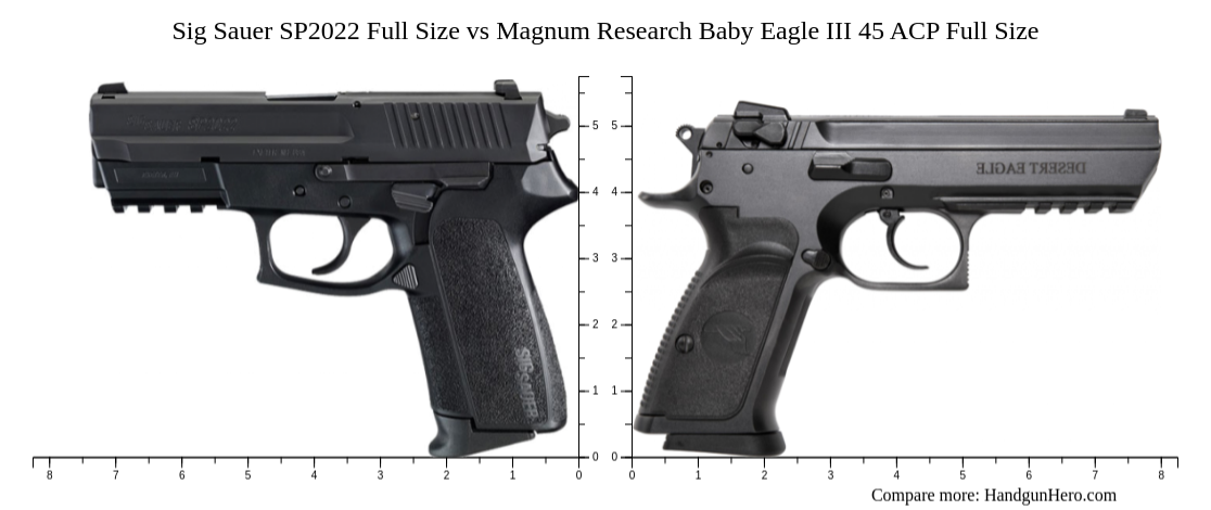 Sig Sauer SP2022 Full Size vs Magnum Research Baby Eagle III 45 ACP ...