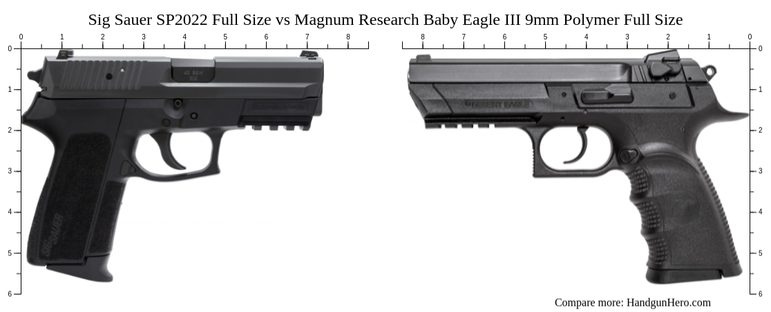 Sig Sauer SP2022 Full Size vs Magnum Research Baby Eagle III 9mm ...