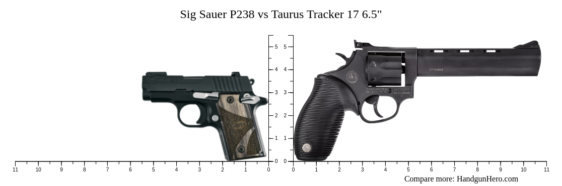 Sig Sauer P238 vs Taurus Tracker 17 6.5" size comparison | Handgun Hero
