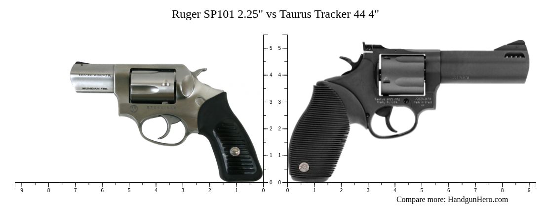 Ruger SP101 2.25" vs Taurus Tracker 44 4" size comparison | Handgun Hero