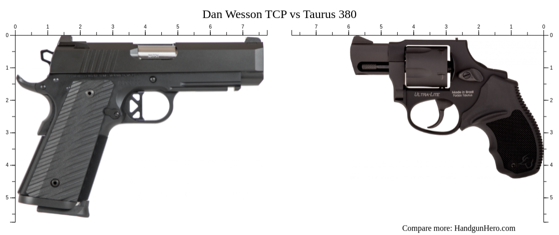 Dan Wesson TCP vs Taurus 380 size comparison | Handgun Hero
