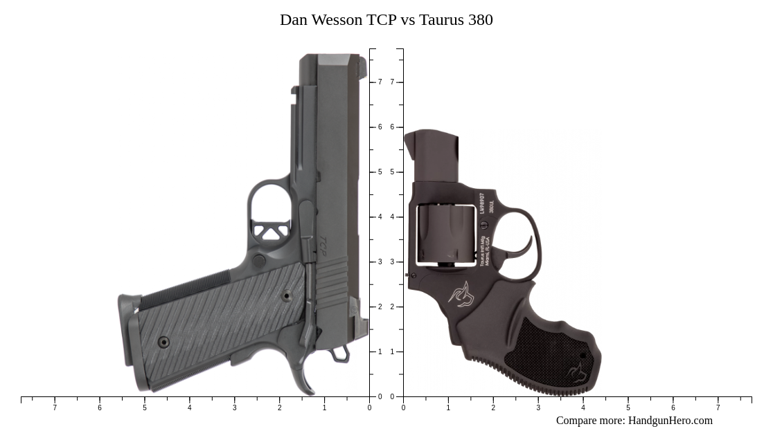 Dan Wesson TCP vs Taurus 380 size comparison | Handgun Hero