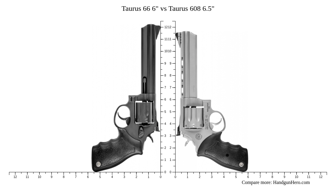 Taurus 66 6" vs Taurus 608 6.5" size comparison | Handgun Hero