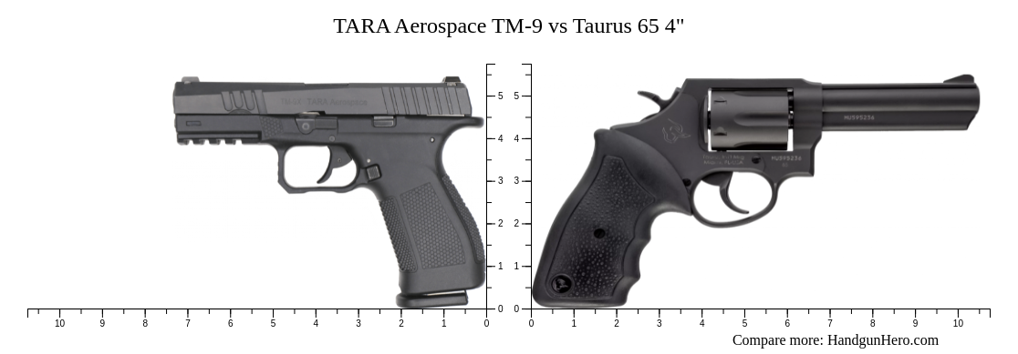 TARA Aerospace TM-9 vs Taurus 65 4" size comparison | Handgun Hero
