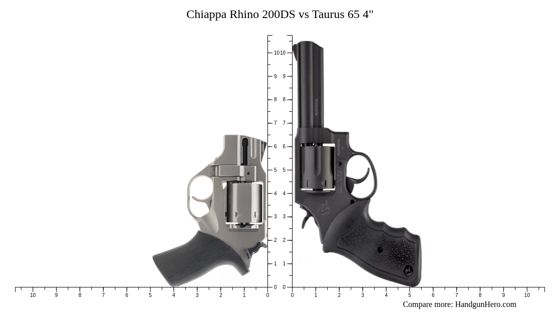 Chiappa Rhino 200DS vs Taurus 65 4" size comparison | Handgun Hero