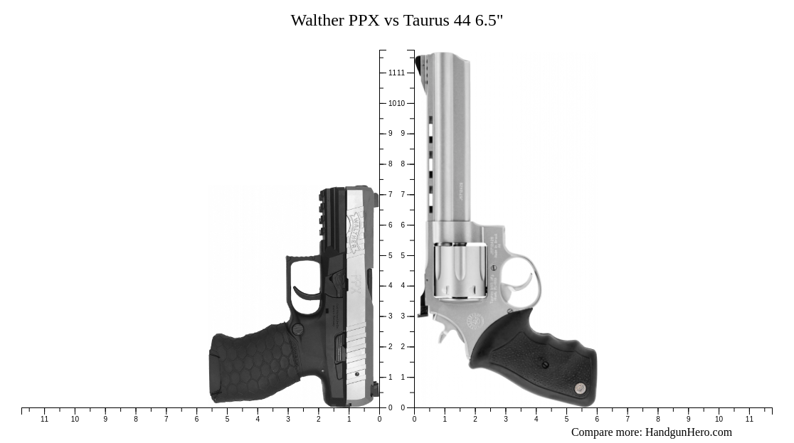 Walther PPX vs Taurus 44 6.5" size comparison | Handgun Hero