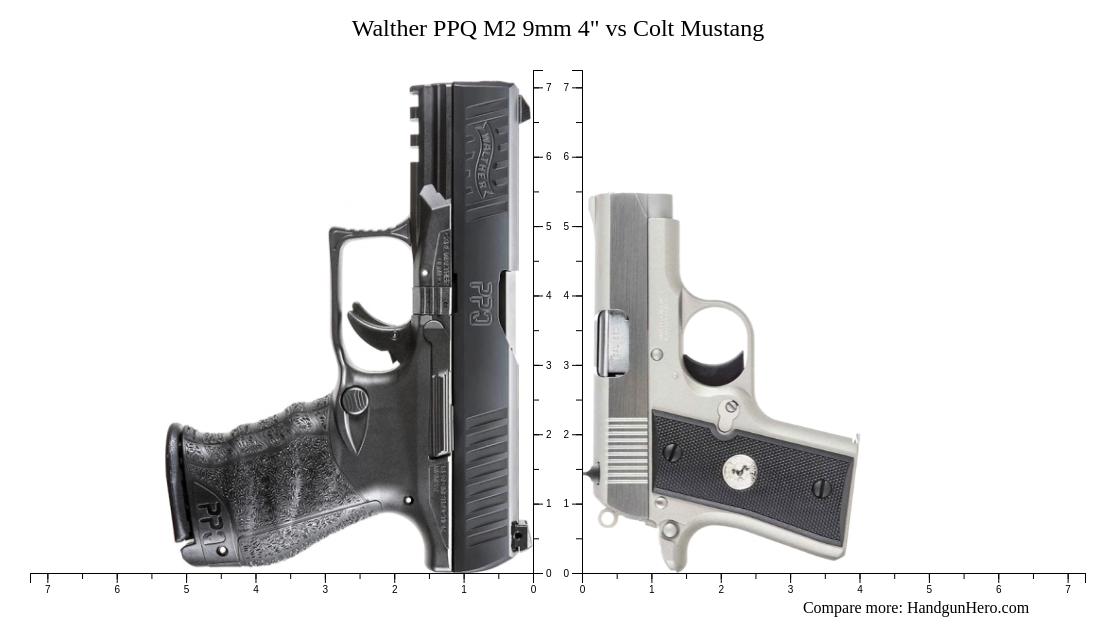 Walther PPQ M2 9mm 4" vs Colt Mustang size comparison | Handgun Hero