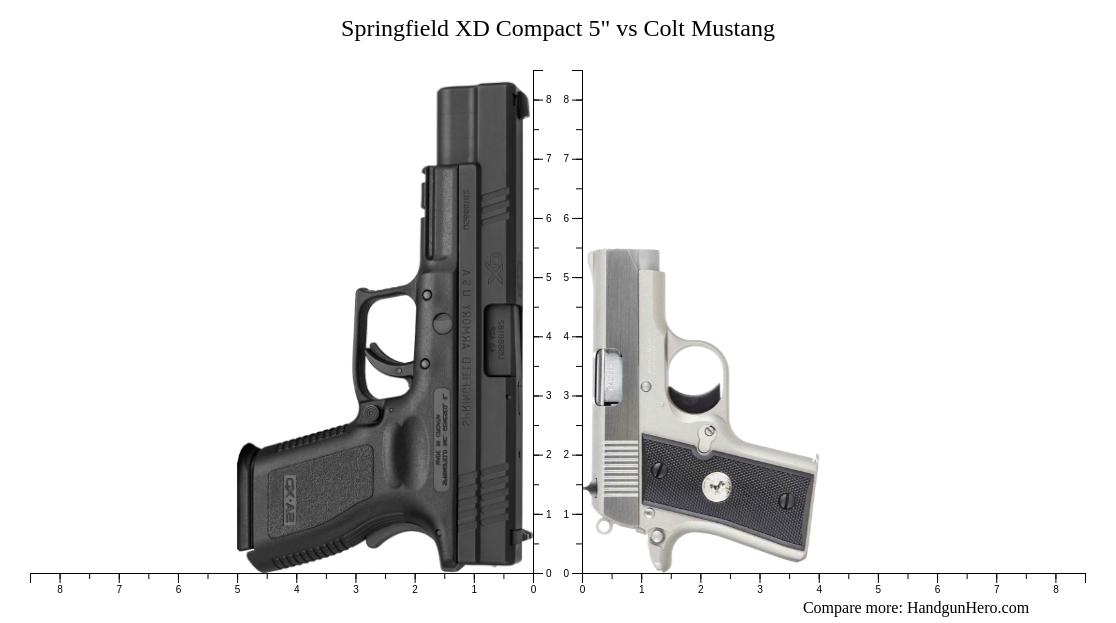 Springfield XD Compact 5" vs Colt Mustang size comparison | Handgun Hero