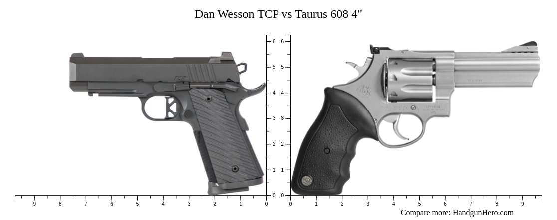 Dan Wesson TCP vs Taurus 608 4" size comparison | Handgun Hero