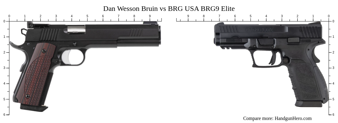 Dan Wesson Bruin vs BRG USA BRG9 Elite size comparison | Handgun Hero