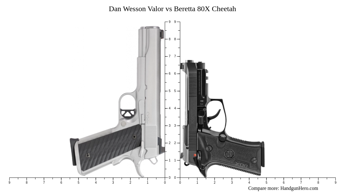 Dan Wesson Valor vs Beretta 80X Cheetah size comparison | Handgun Hero