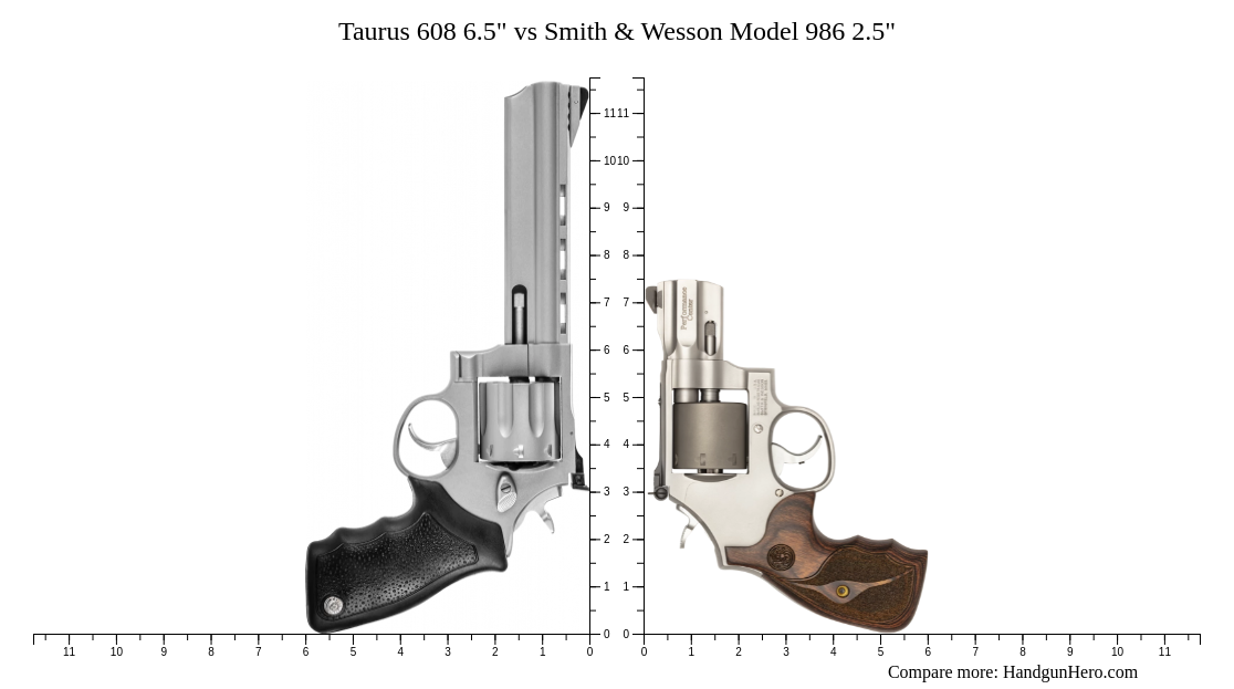 Taurus 608 6.5" vs Smith & Wesson Model 986 2.5" size comparison ...