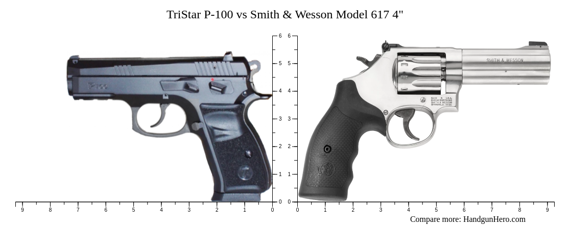 TriStar P-100 vs Smith & Wesson Model 617 4" size comparison | Handgun Hero