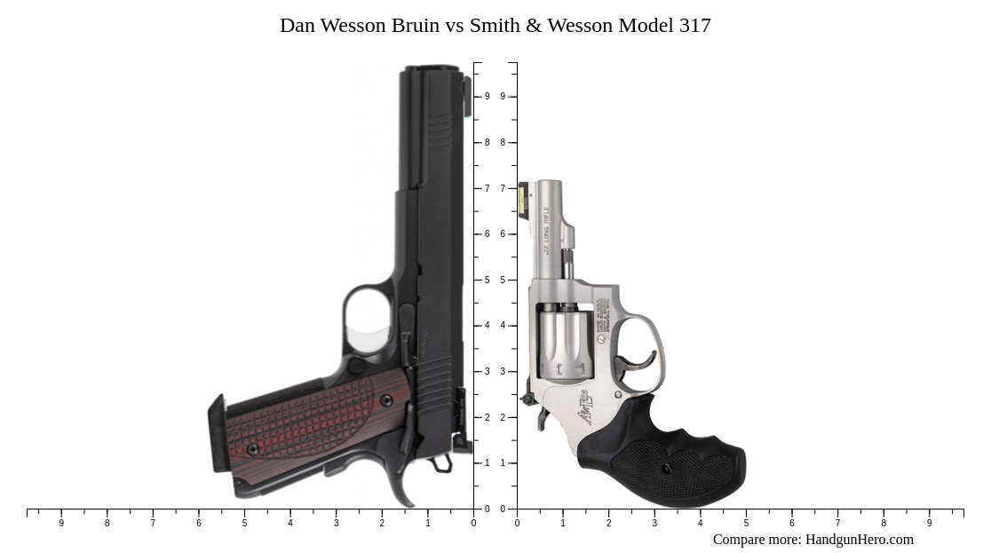 Dan Wesson Bruin vs Smith & Wesson Model 317 size comparison | Handgun Hero