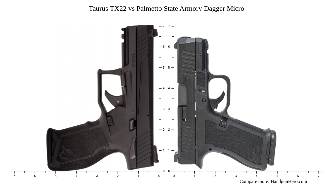 Taurus TX22 vs Palmetto State Armory Dagger Micro size comparison ...