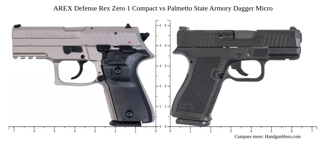 AREX Defense Rex Zero 1 Compact vs Palmetto State Armory Dagger Micro ...