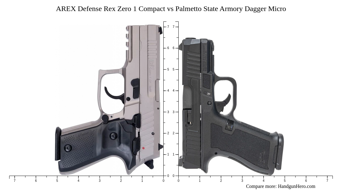 AREX Defense Rex Zero 1 Compact vs Palmetto State Armory Dagger Micro ...
