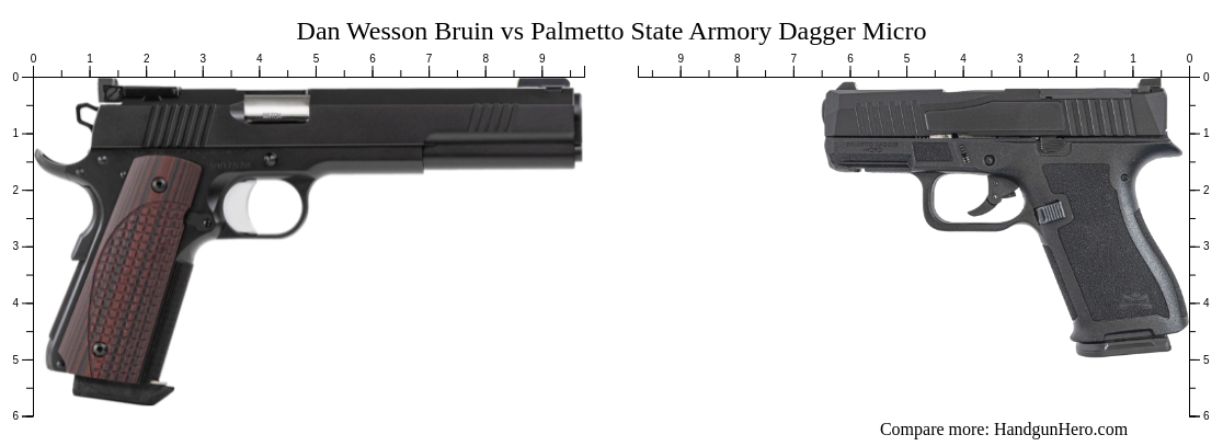 Dan Wesson Bruin vs Palmetto State Armory Dagger Micro size comparison ...