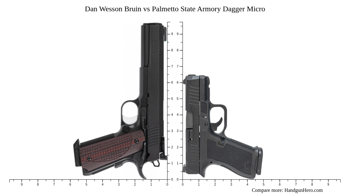 Dan Wesson Bruin vs Palmetto State Armory Dagger Micro size comparison ...