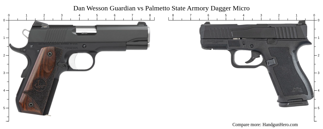 Dan Wesson Guardian vs Palmetto State Armory Dagger Micro size ...