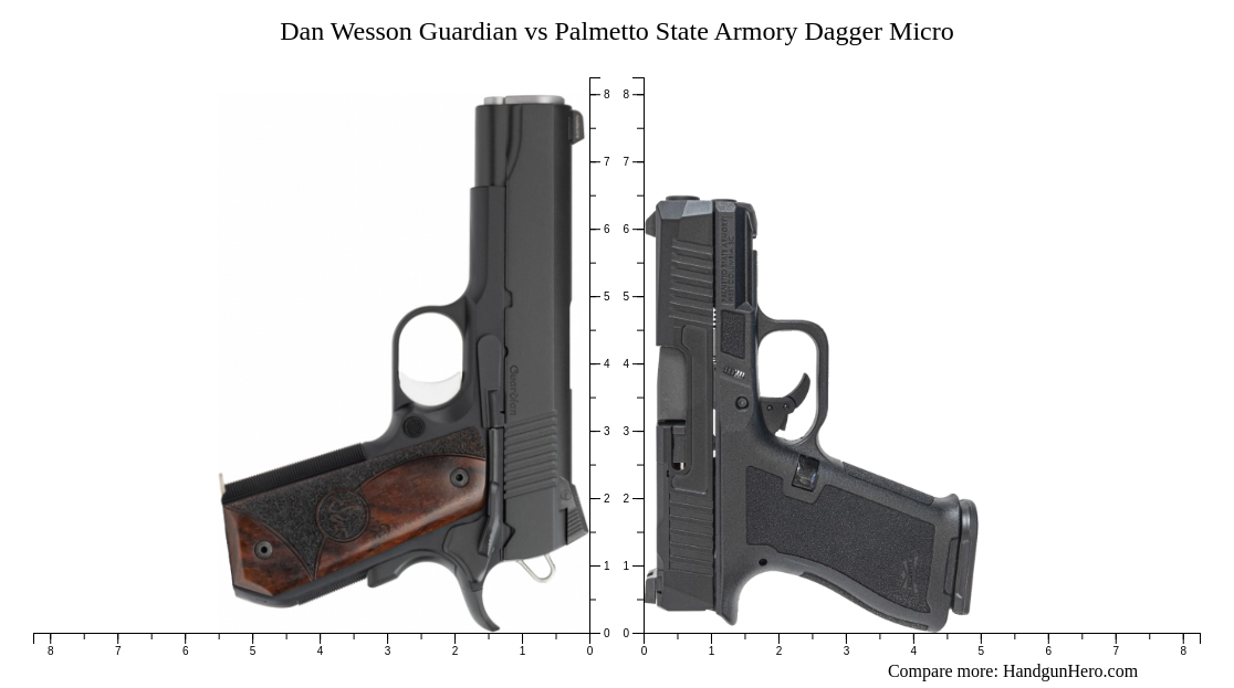 Dan Wesson Guardian vs Palmetto State Armory Dagger Micro size ...
