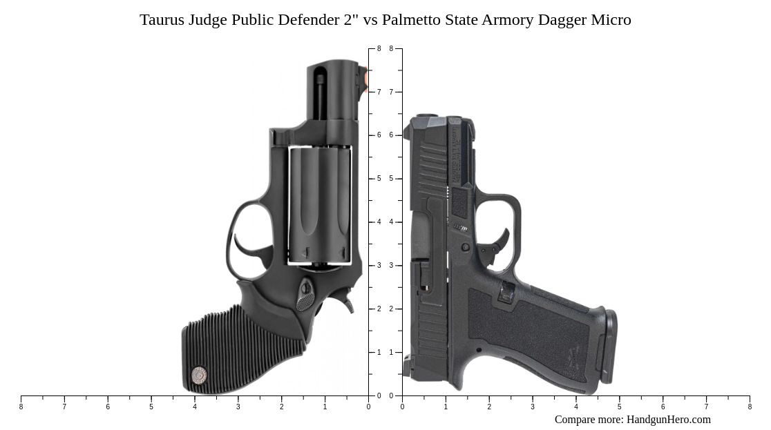 Taurus Judge Public Defender 2" vs Palmetto State Armory Dagger Micro ...