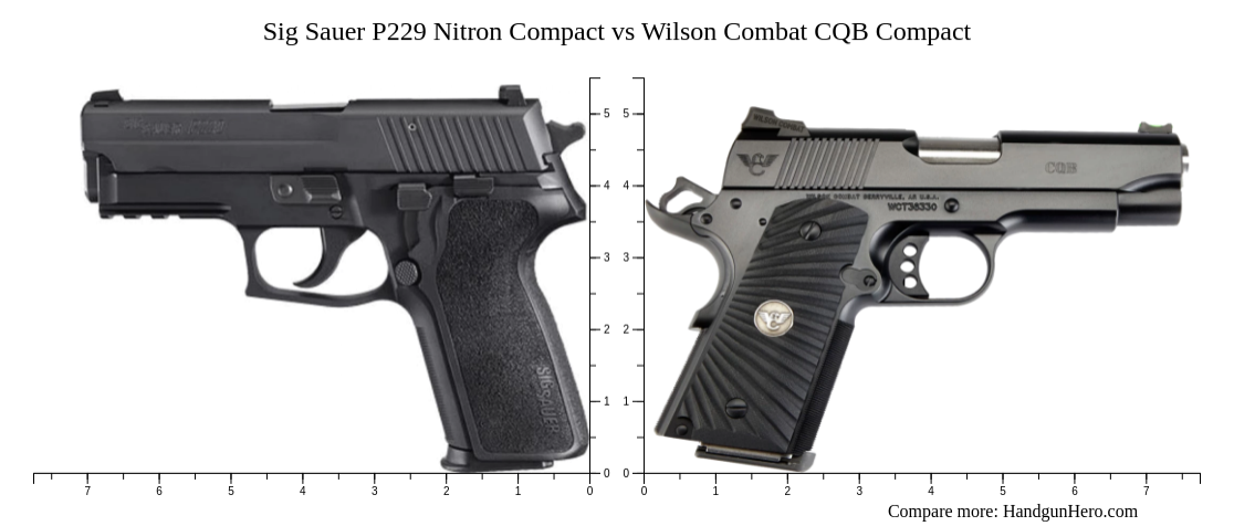 Sig Sauer P229 Nitron Compact vs Heckler & Koch P2000 vs Heckler & Koch ...