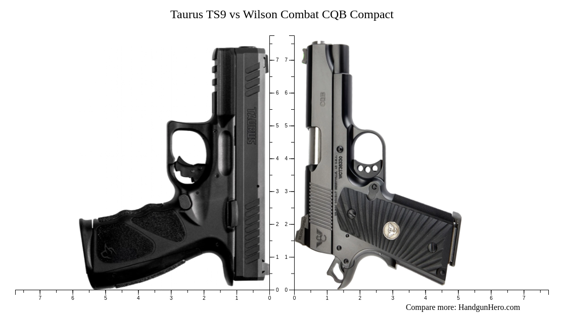 Taurus TS9 vs Wilson Combat CQB Compact size comparison | Handgun Hero