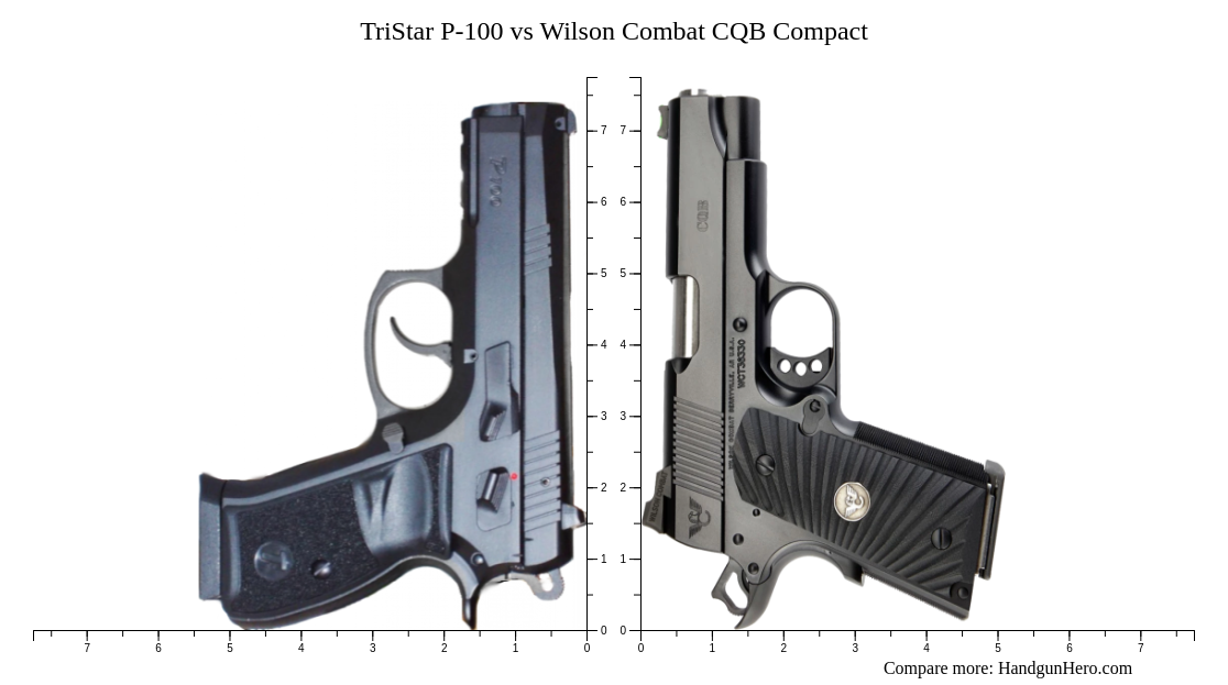 TriStar P-100 vs Wilson Combat CQB Compact size comparison | Handgun Hero