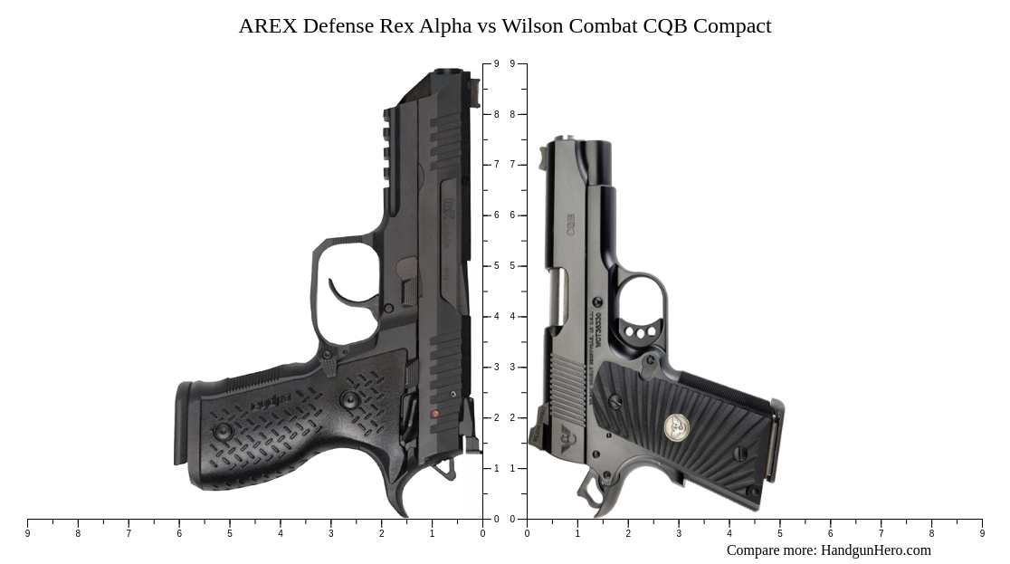 AREX Defense Rex Alpha vs Wilson Combat CQB Compact size comparison ...