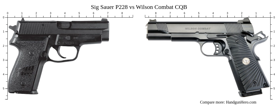 Sig Sauer P228 vs Wilson Combat CQB size comparison | Handgun Hero