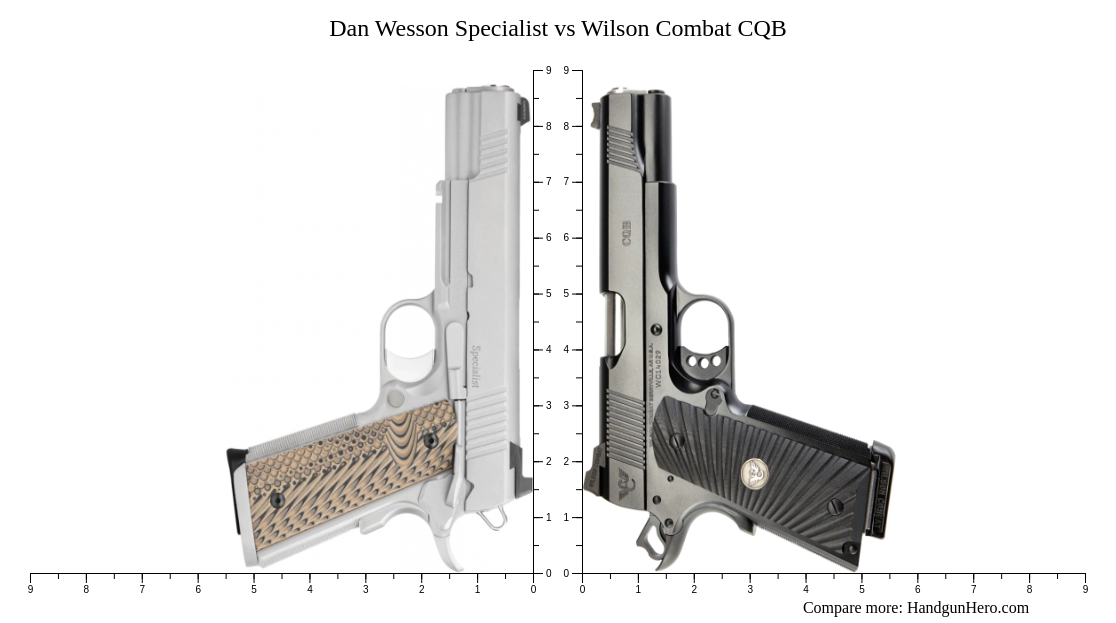 Dan Wesson Specialist vs Wilson Combat CQB size comparison | Handgun Hero
