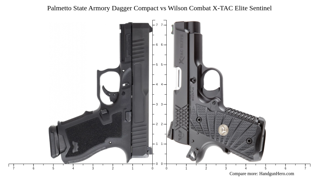 Palmetto State Armory Dagger Compact vs Wilson Combat X-TAC Elite ...