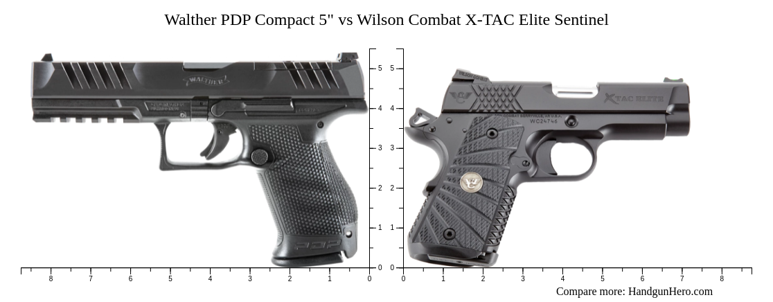 Walther PDP Compact 5" vs Wilson Combat X-TAC Elite Sentinel size comparison | Handgun Hero