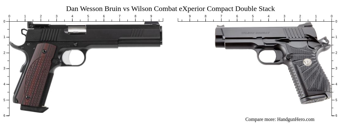 Dan Wesson Bruin vs Wilson Combat eXperior Compact Double Stack size ...