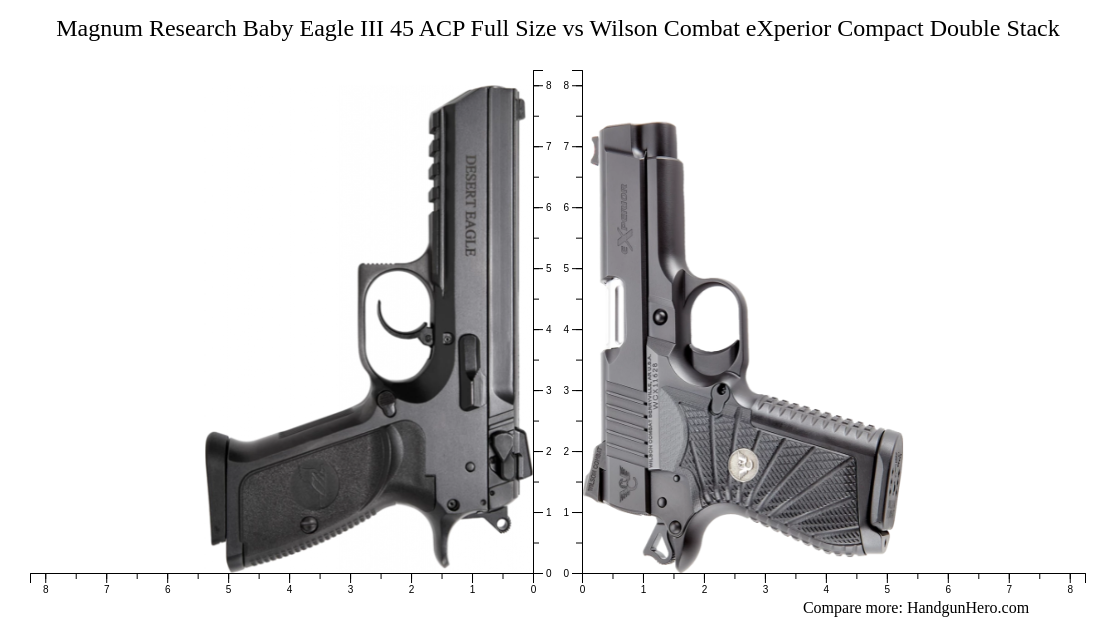Magnum Research Baby Eagle III 45 ACP Full Size vs Wilson Combat ...