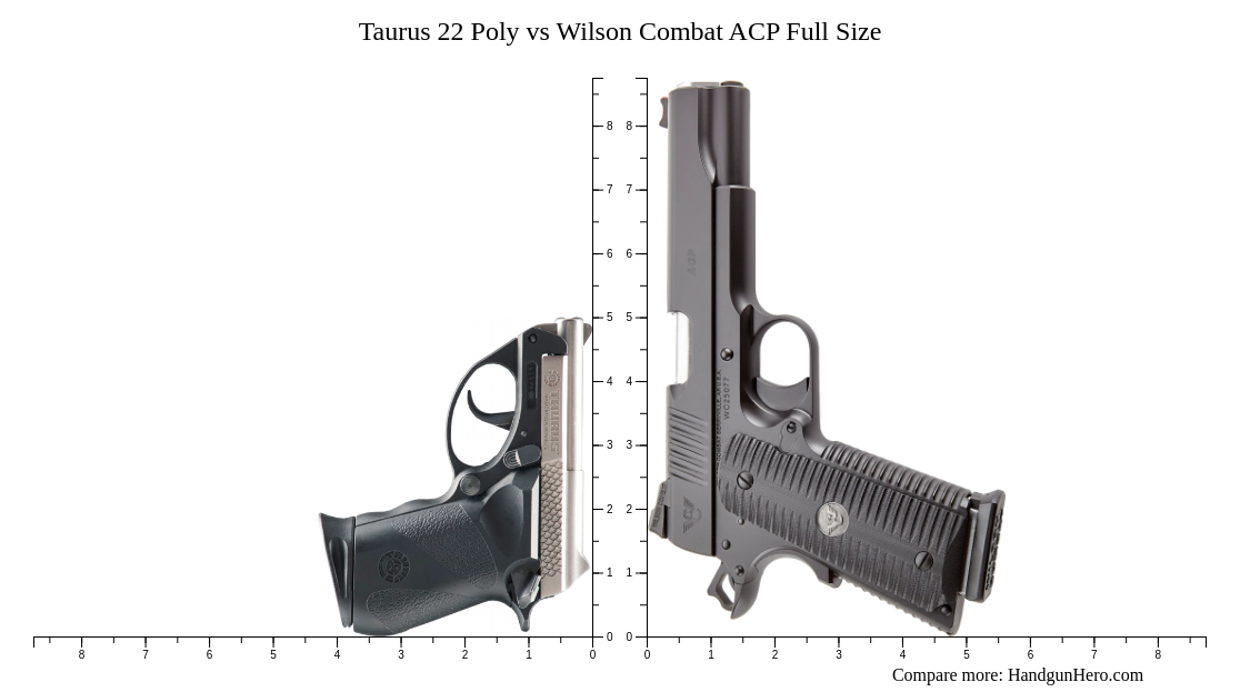 Taurus 22 Poly vs Wilson Combat ACP Full Size size comparison | Handgun ...