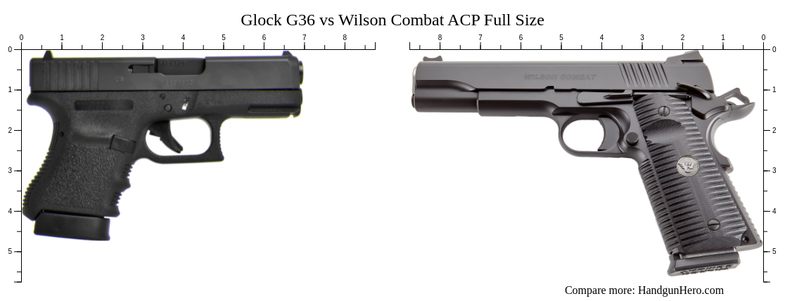 Glock G36 vs Wilson Combat ACP Full Size size comparison | Handgun Hero