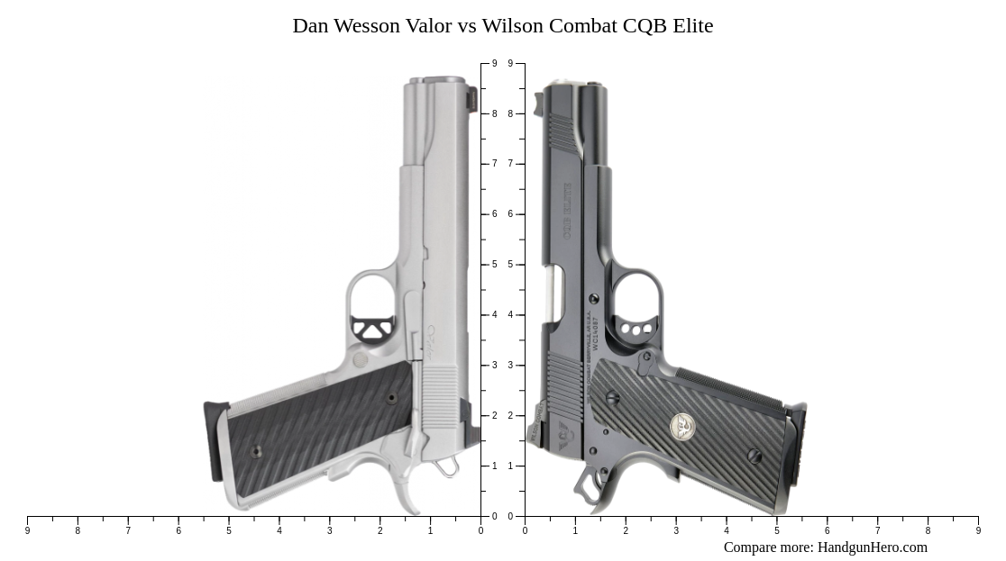 Dan Wesson Valor vs Wilson Combat CQB Elite size comparison | Handgun Hero