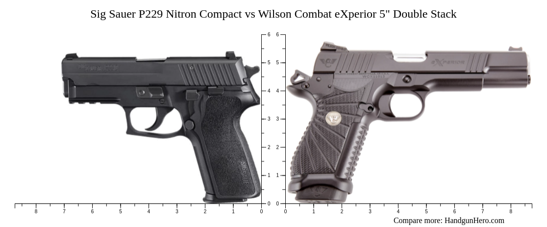 Sig Sauer P229 Nitron Compact vs Wilson Combat eXperior 5" Double Stack ...