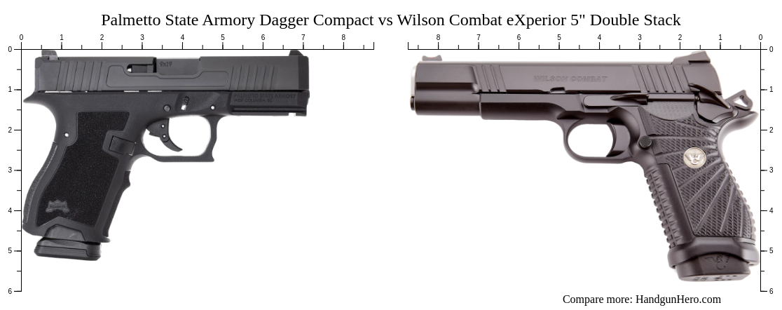 Palmetto State Armory Dagger Compact vs Wilson Combat eXperior 5 ...