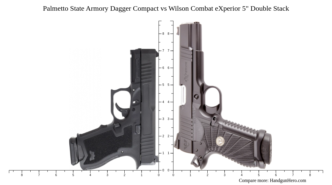 Palmetto State Armory Dagger Compact vs Wilson Combat eXperior 5 ...