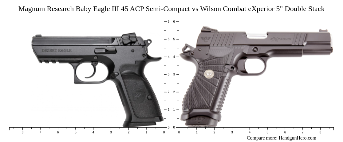 Magnum Research Baby Eagle III 45 ACP Semi-Compact vs Wilson Combat ...
