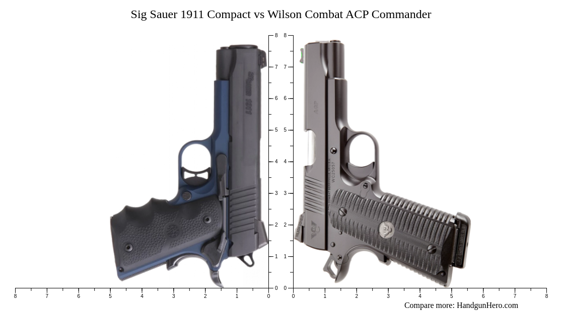 Sig Sauer 1911 Compact vs Wilson Combat ACP Commander size comparison ...