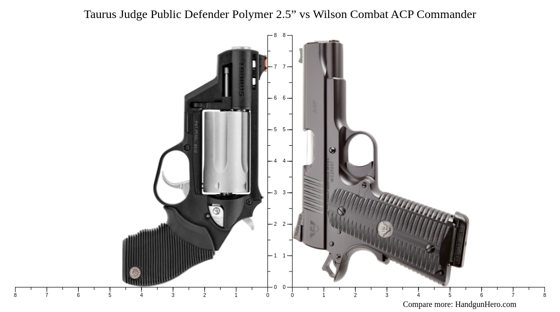 Taurus Judge Public Defender Polymer 2.5” vs Wilson Combat ACP ...