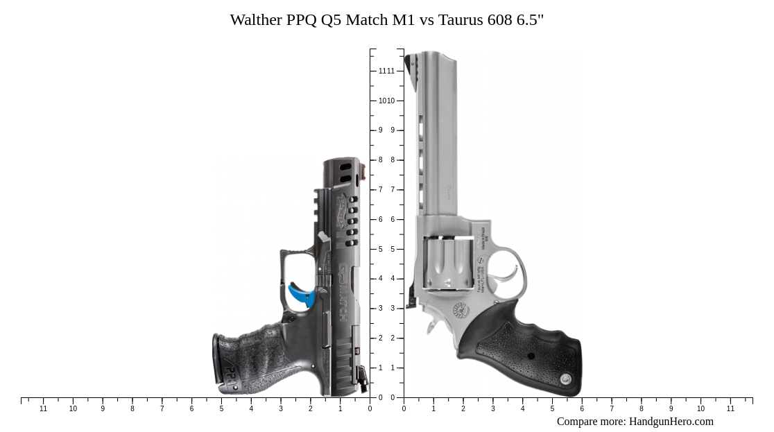 Walther PPQ Q5 Match M1 vs Taurus 608 6.5" size comparison | Handgun Hero