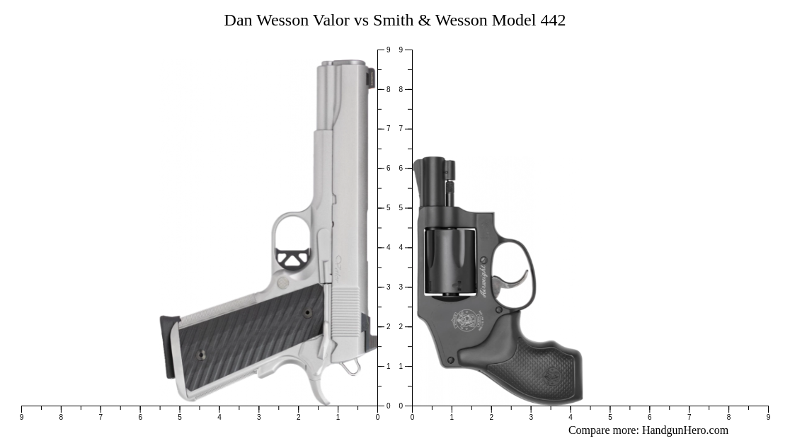 Dan Wesson Valor vs Smith & Wesson Model 442 size comparison | Handgun Hero