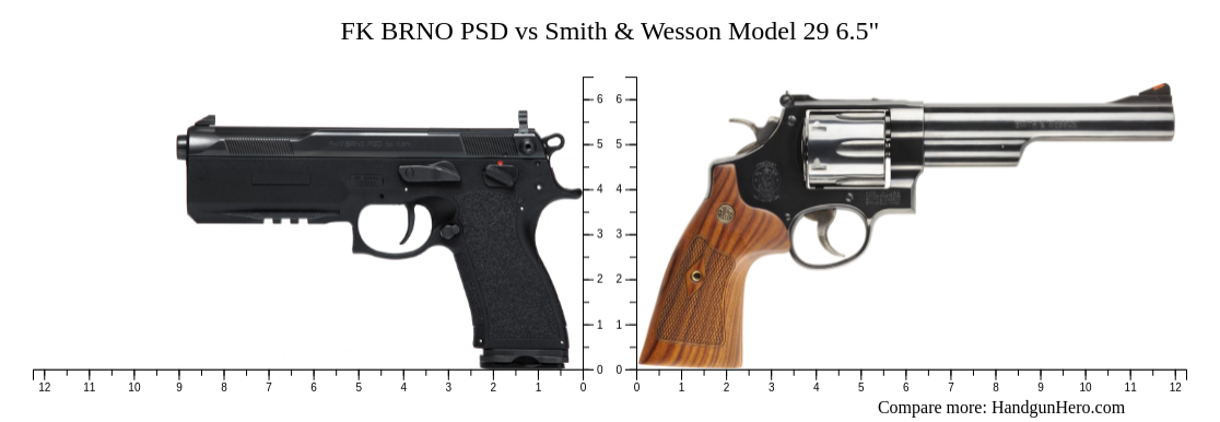 FK BRNO PSD vs Smith & Wesson Model 29 6.5" size comparison | Handgun Hero